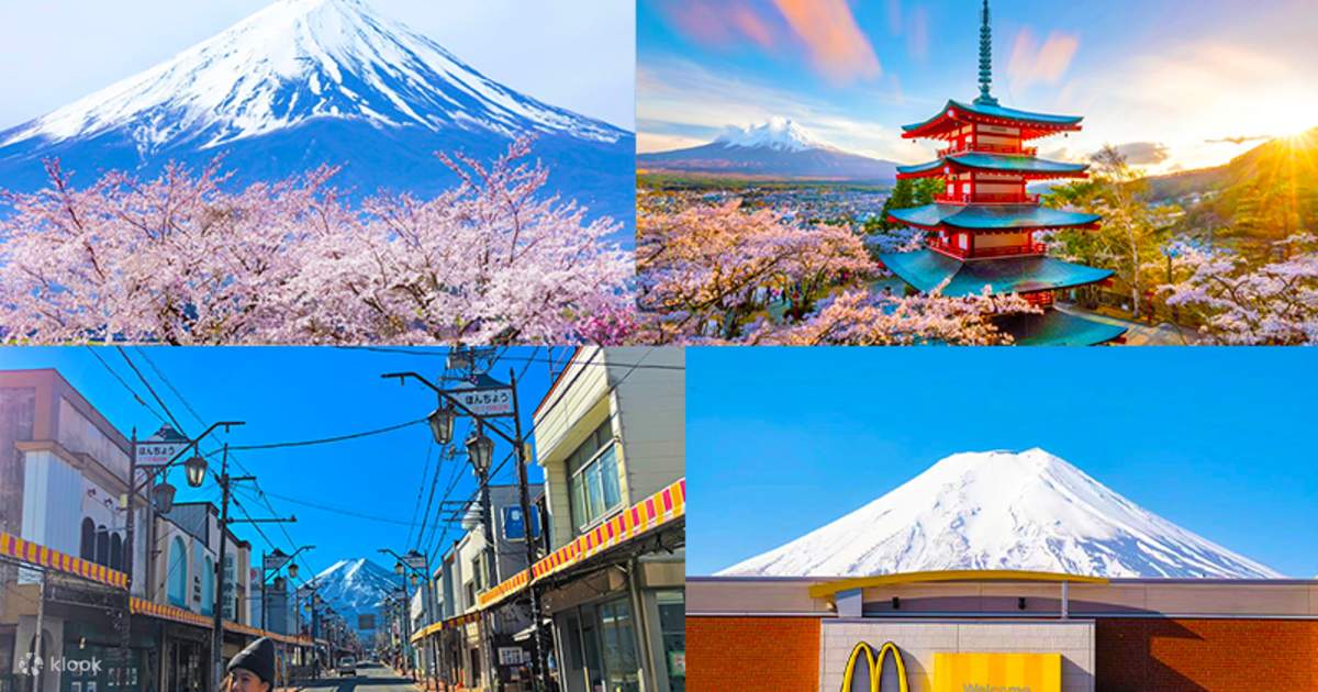 [Mount Fuji Flower Viewing] Arakurayama Sengen Park & Hikawa Clock Shop ...